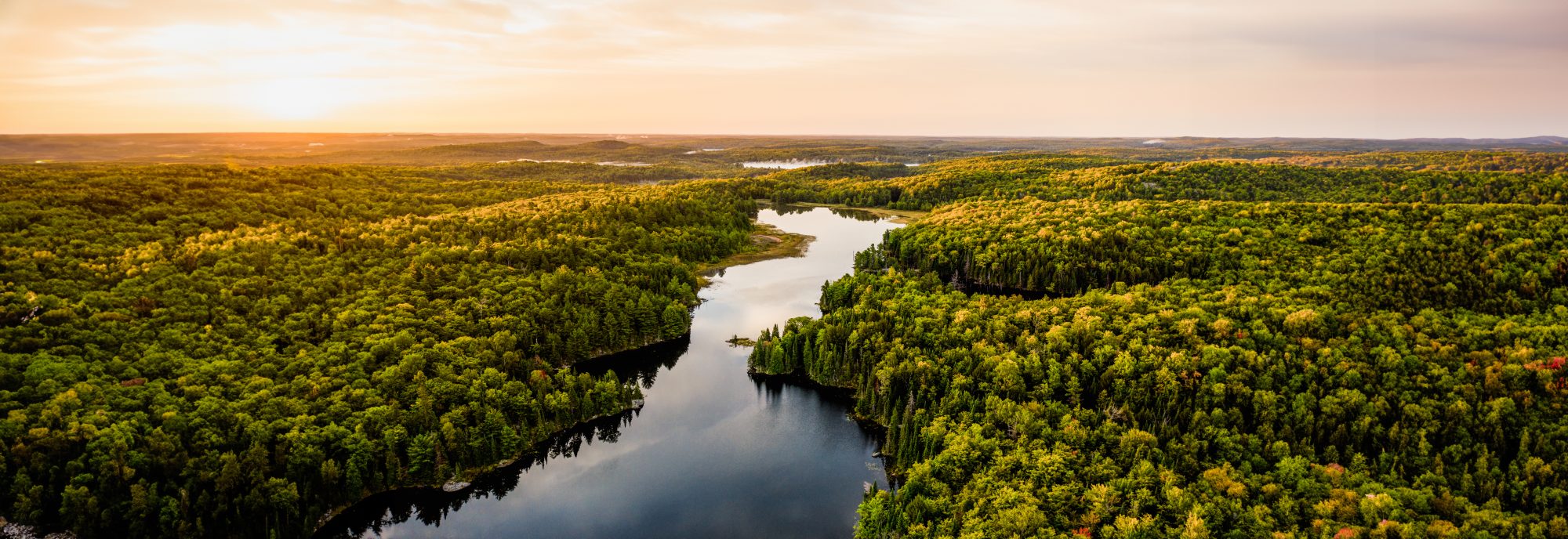 ONE Climate: DERTOUR Group initiates group-wide climate program ...